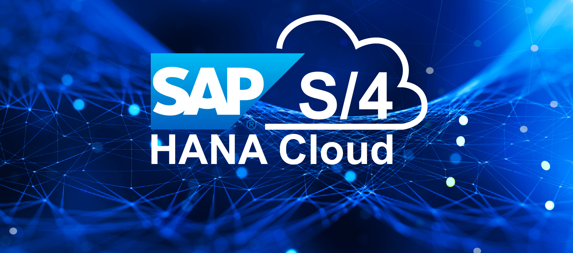 S/4 HANA Cloud - SI Consulting